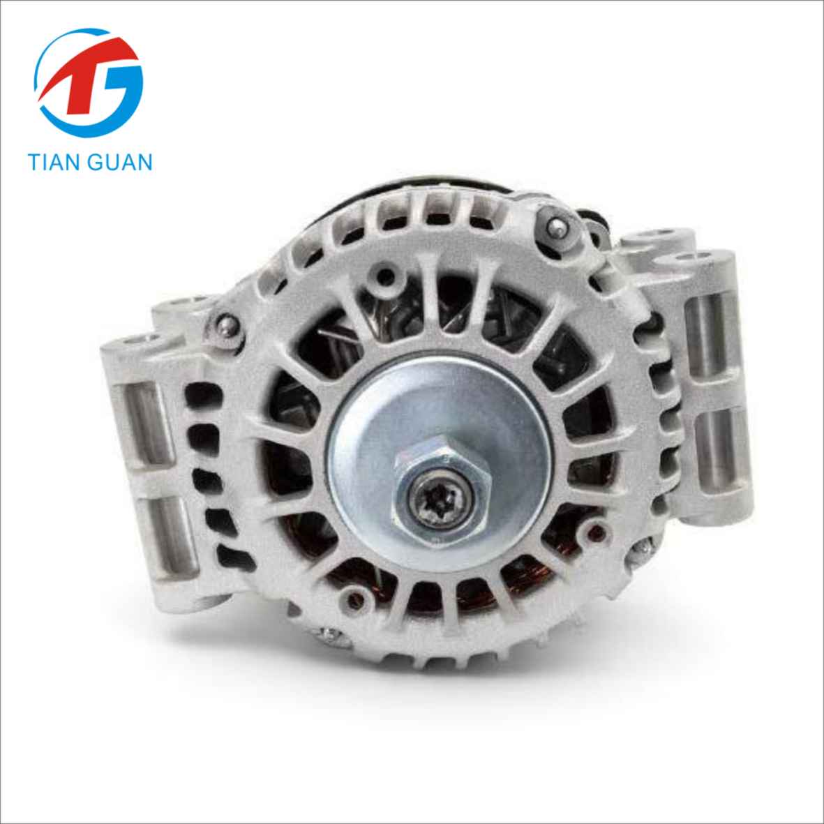 T405758 Generator set alternator_Shiyan Tianguan Industry & Trade Co., Ltd.